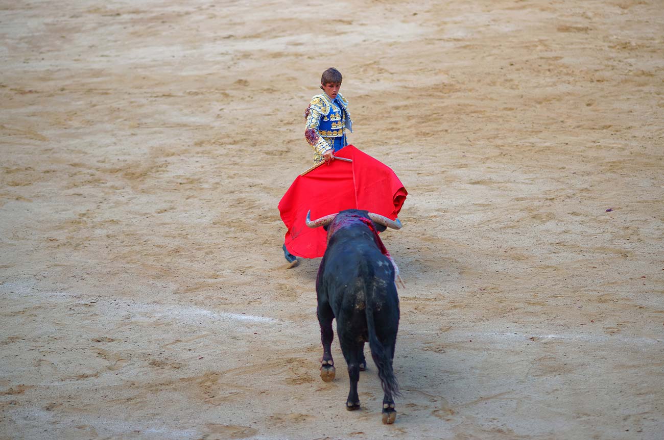 El ruedo de las ventas: Espacio sagrado