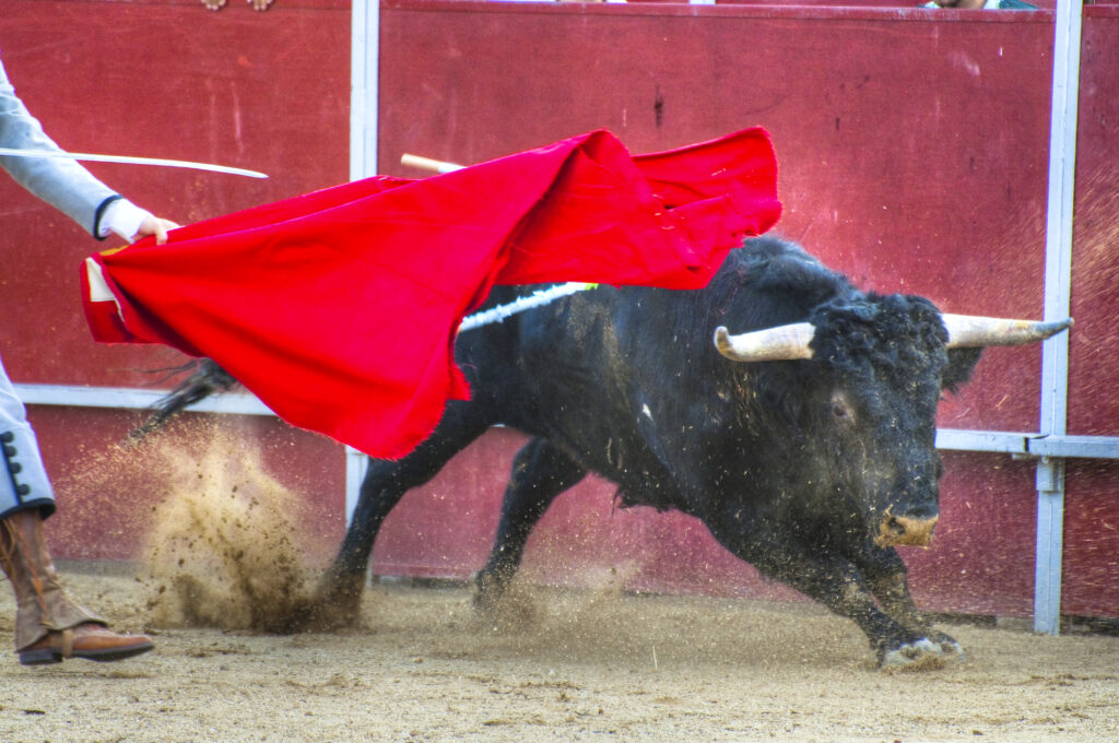 La cuadrilla de un torero: funciones de los mozos de espada y subalternos